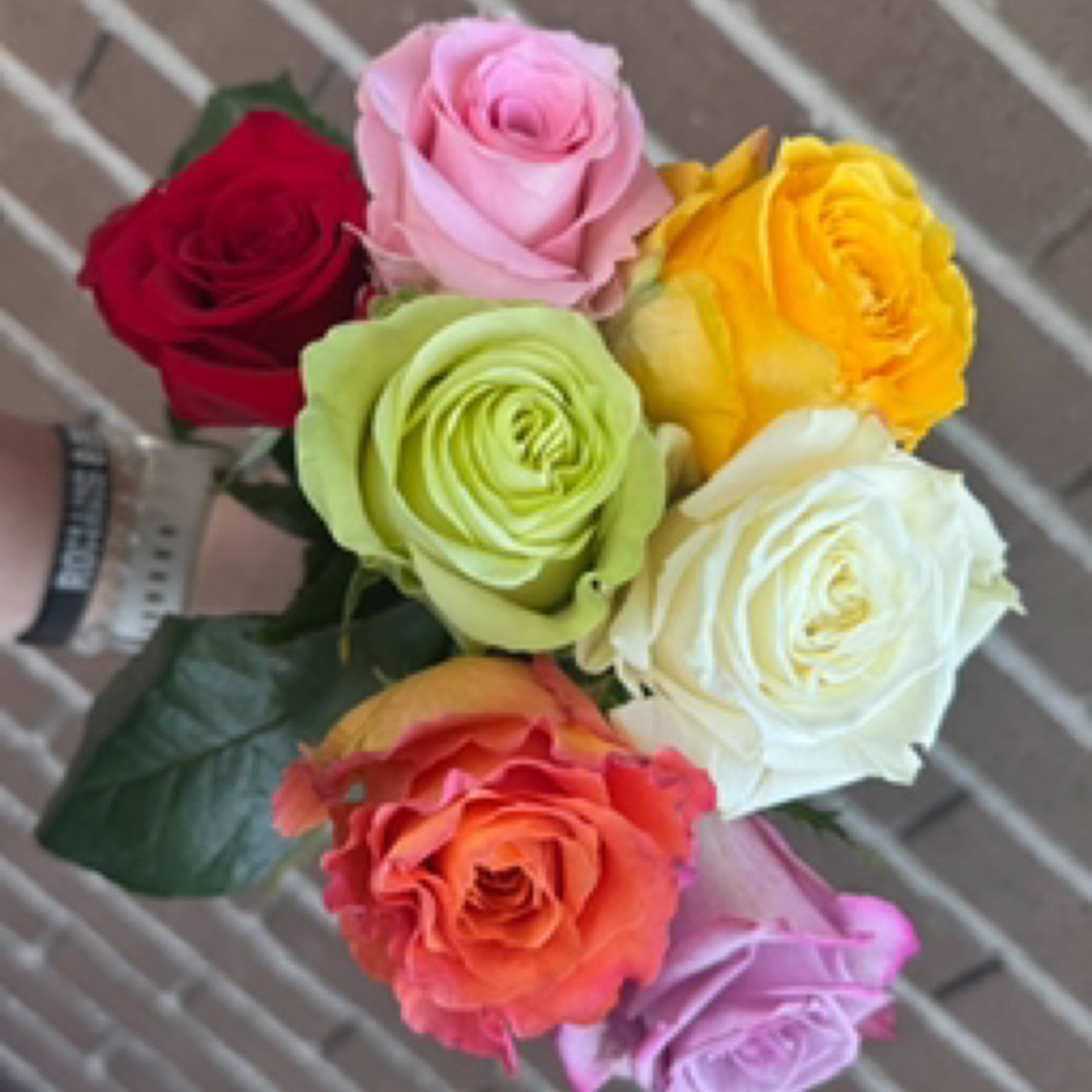 Dozen Roses | A Ring Around the Roses