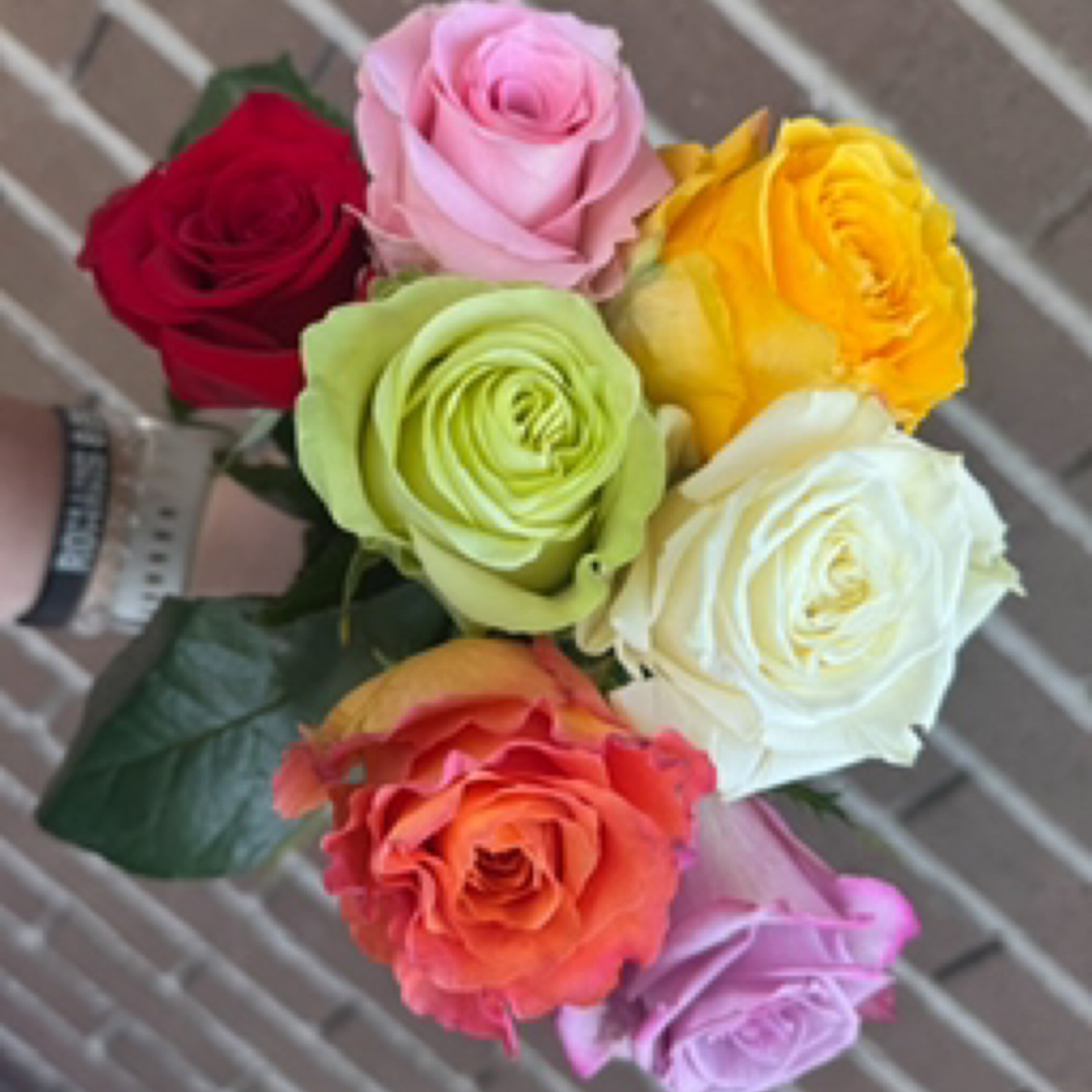 18 Roses | A Ring Around the Roses